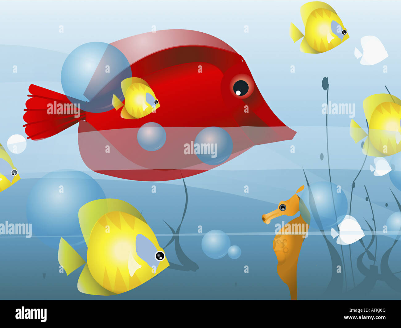 Fish with a sea horse underwater Stock Photo - Alamy