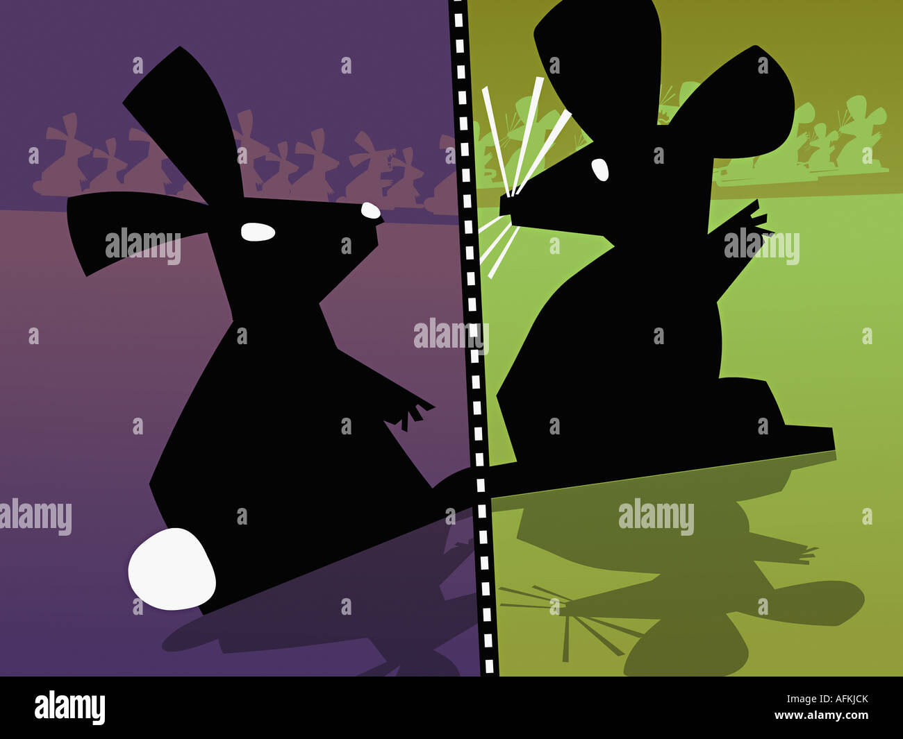 Rabbit and rat hi-res stock photography and images - Alamy