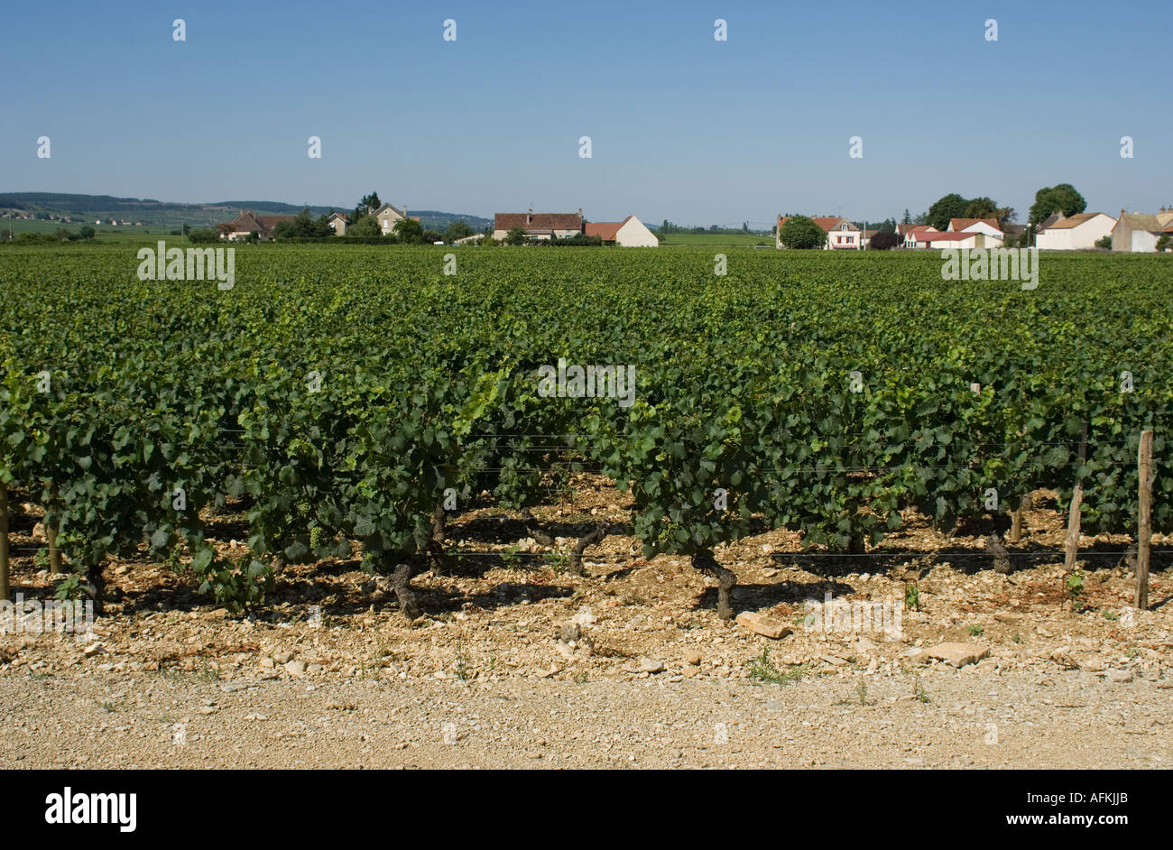 Chateau de meursault bourgogne hi-res stock photography and images - Alamy