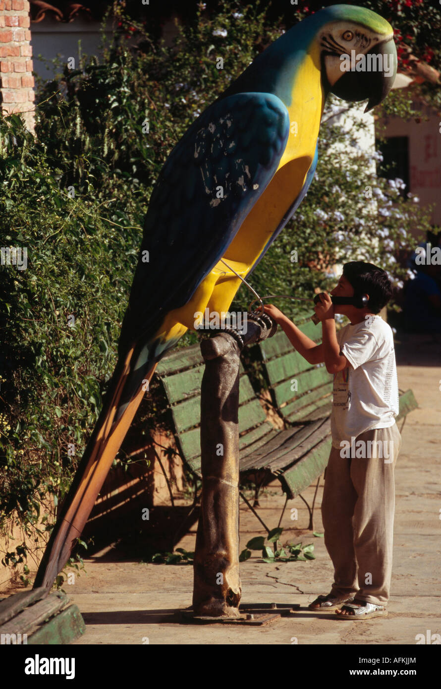 Parrot telephone hi-res stock photography and images - Alamy
