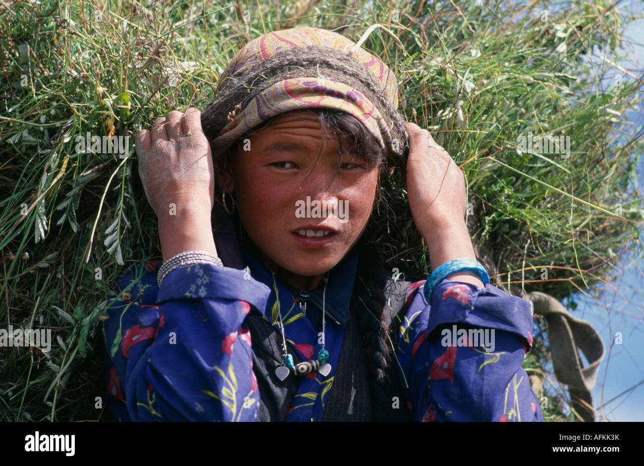 Nepalese woman carrying grass hi-res stock photography and images - Alamy
