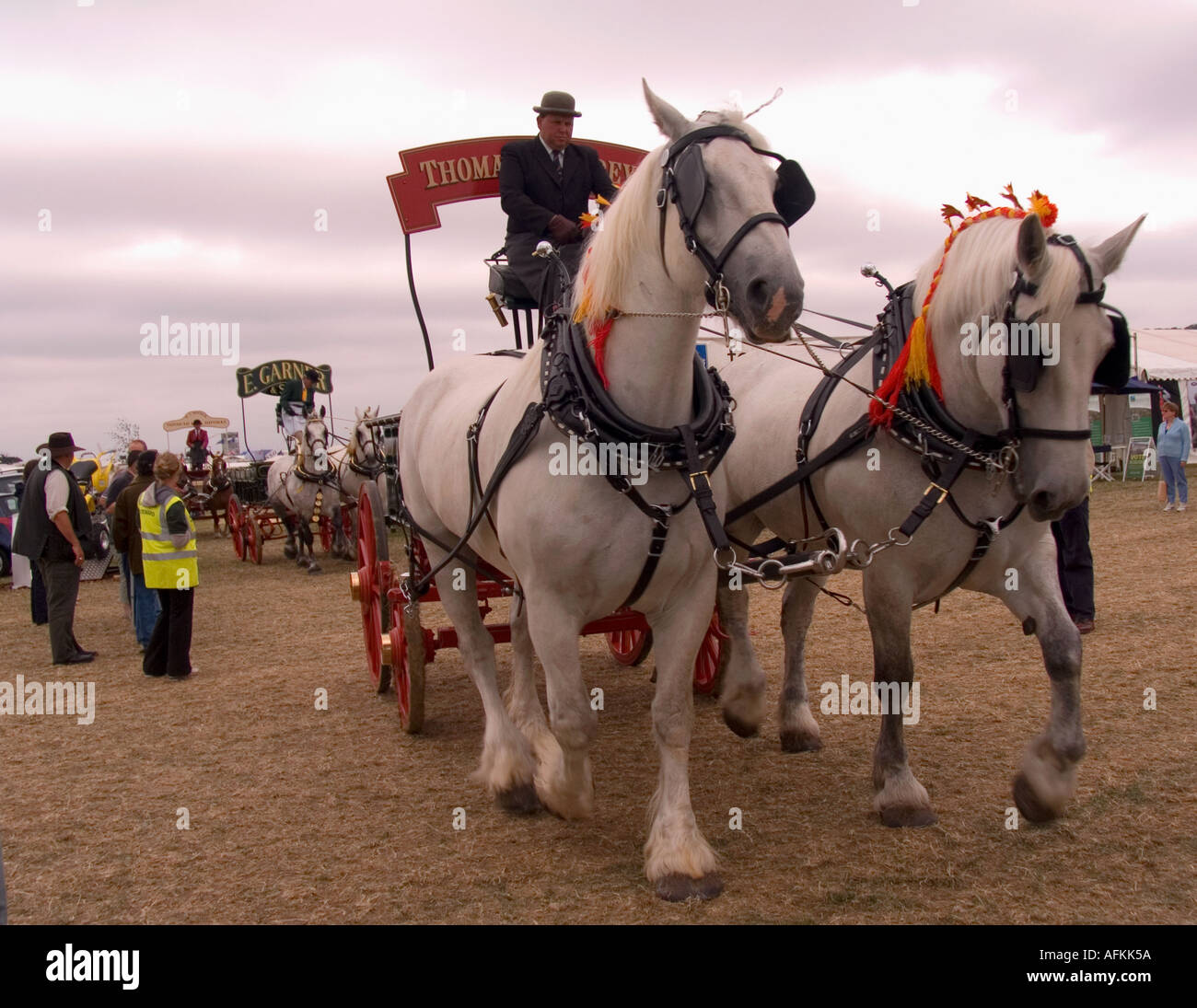 Presentation horses carriage animal hi-res stock photography and images ...