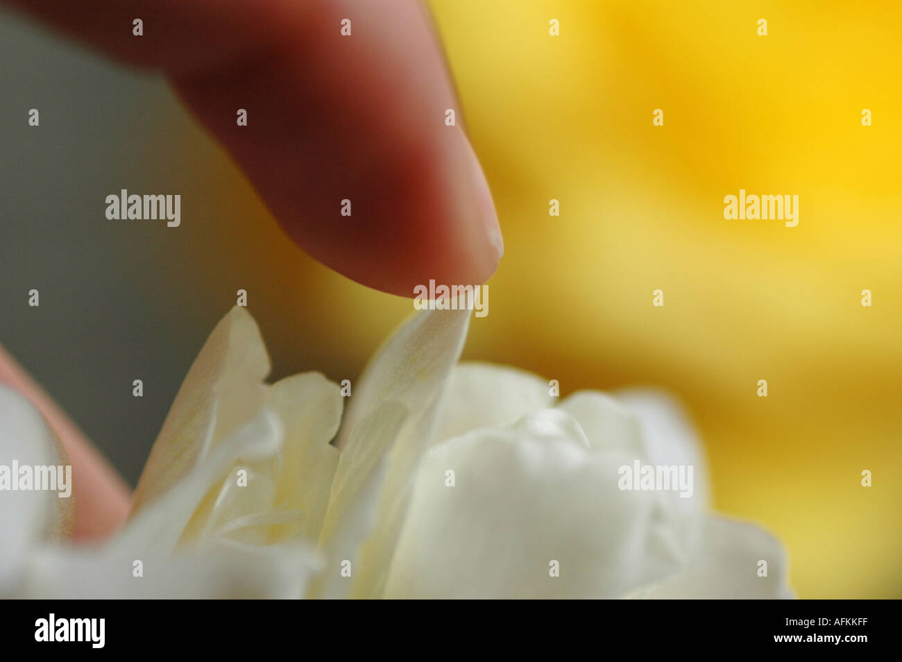 flower flora finger Stock Photo - Alamy