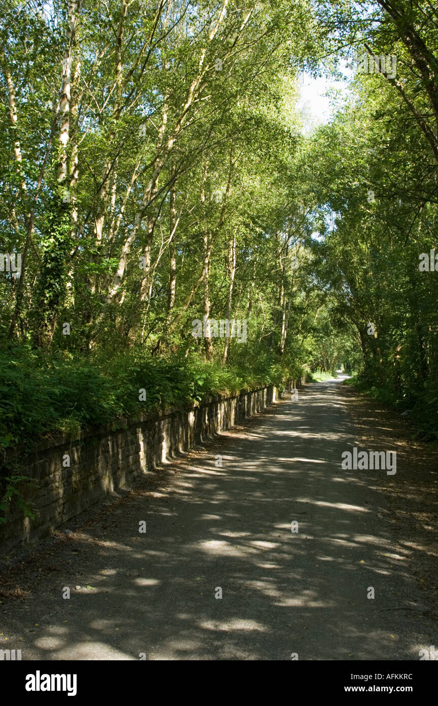The Ystwyth Trail footpath and cycle way on the old course of the ...