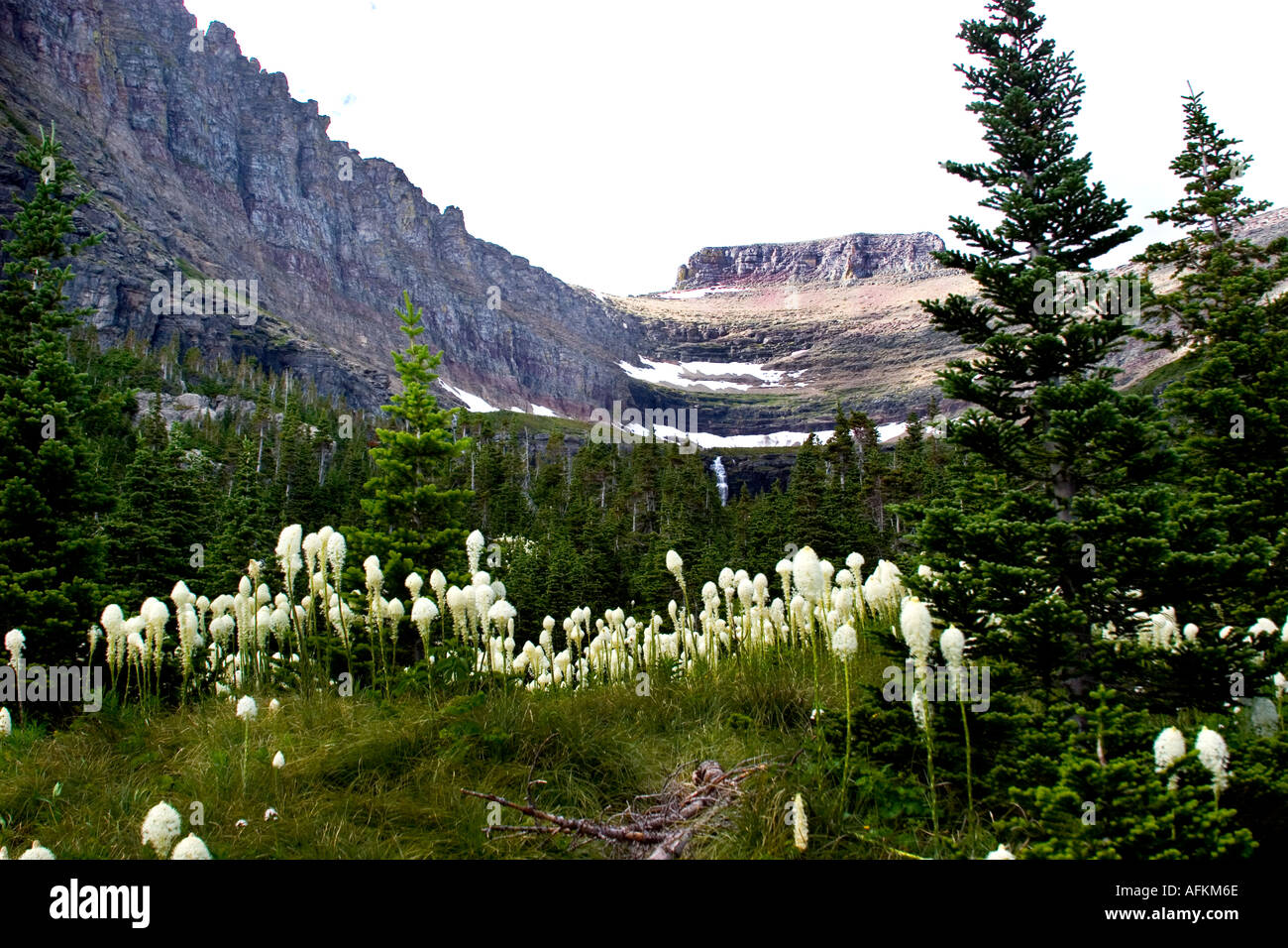 Piegan pass hi-res stock photography and images - Alamy