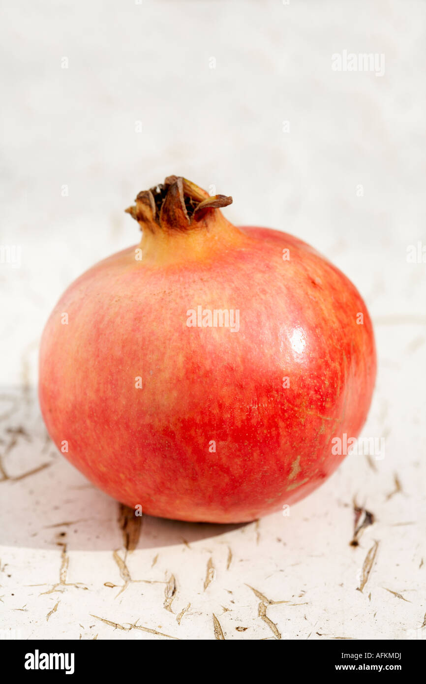 One Pomegranate Punica Granatum close up Stock Photo - Alamy
