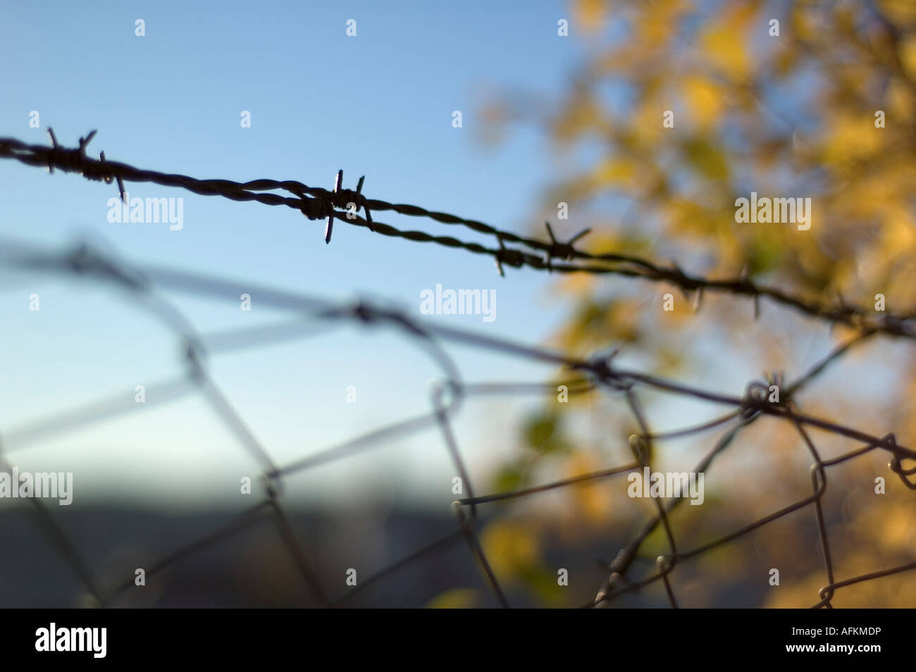Barbed wire fence Stock Photo - Alamy