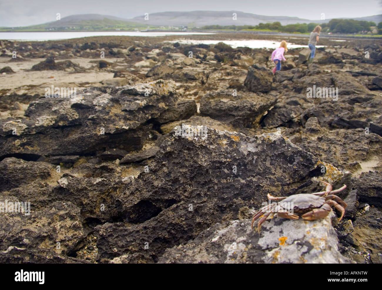 Bay burren limestone pavement hi-res stock photography and images - Alamy
