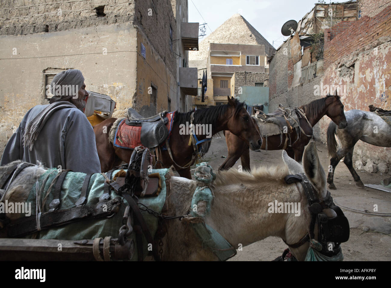 The backstreets of Giza, Cairo, Egypt Stock Photo - Alamy