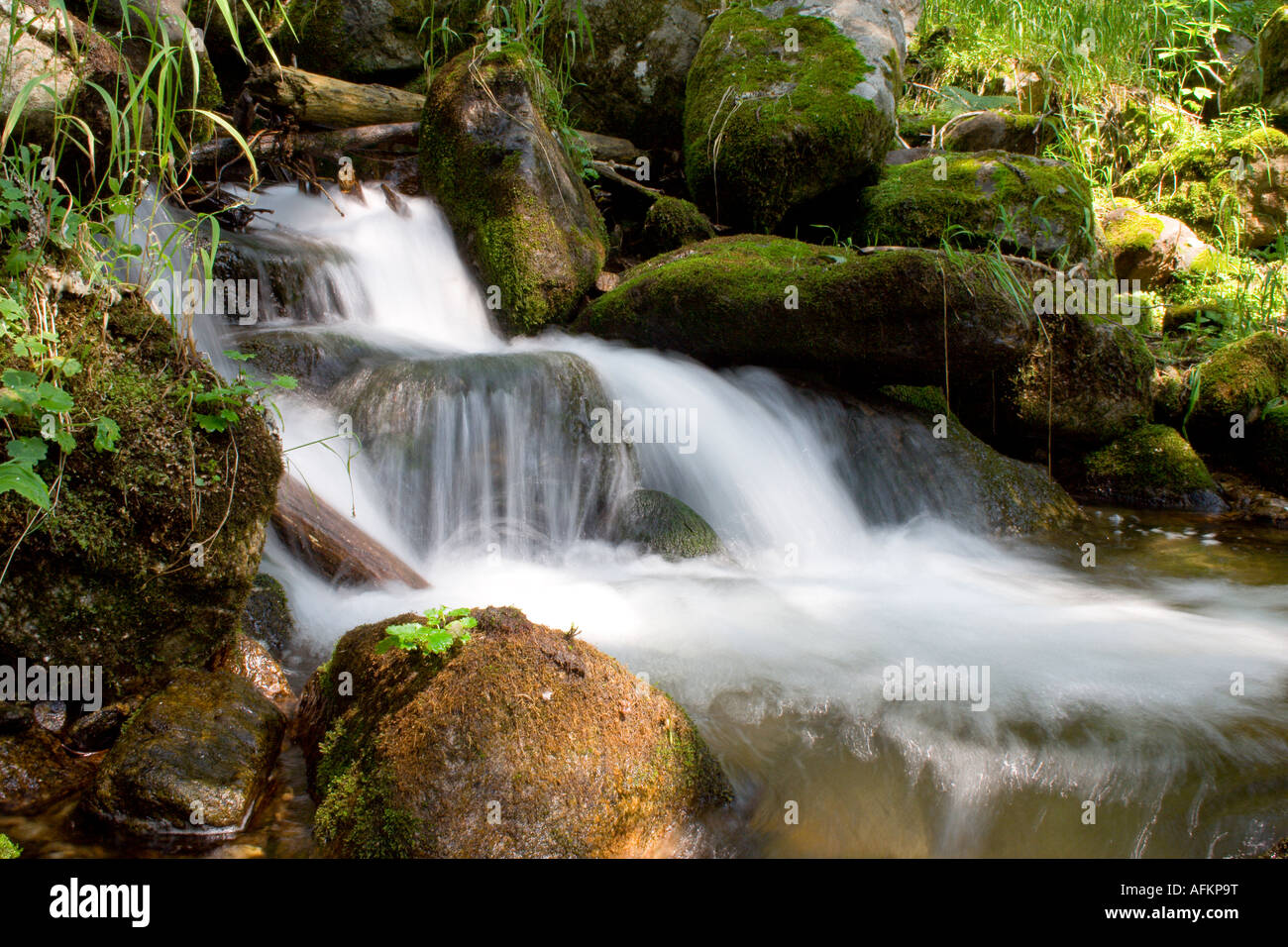 mountain stream running over mossy rocks in siberia foothills of Sayan ...