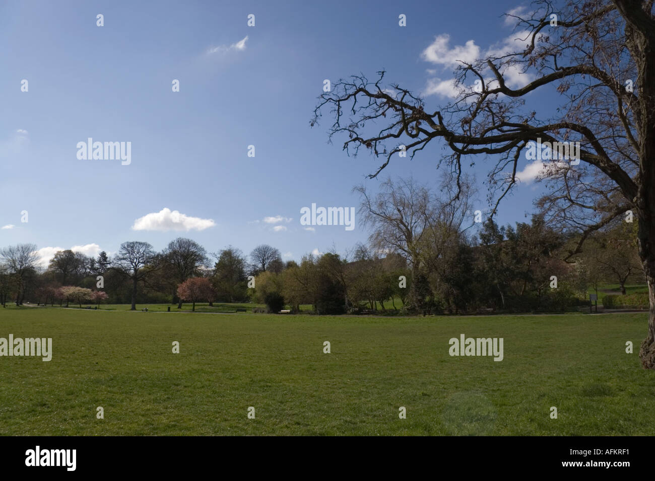 Springfield park, london hi-res stock photography and images - Alamy