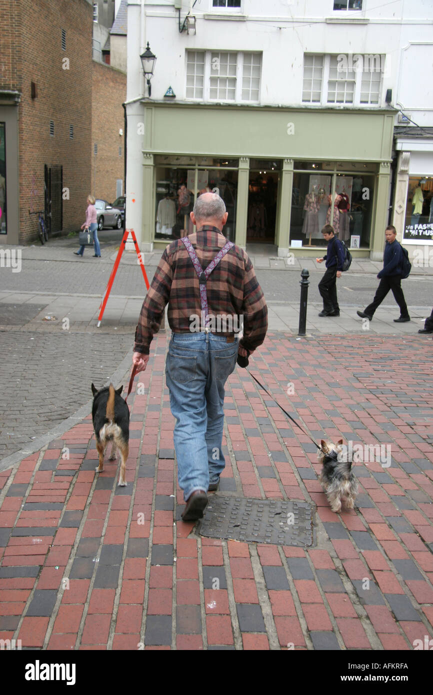 Man walking his two dogs in Brighton Sussex UK Stock Photo - Alamy