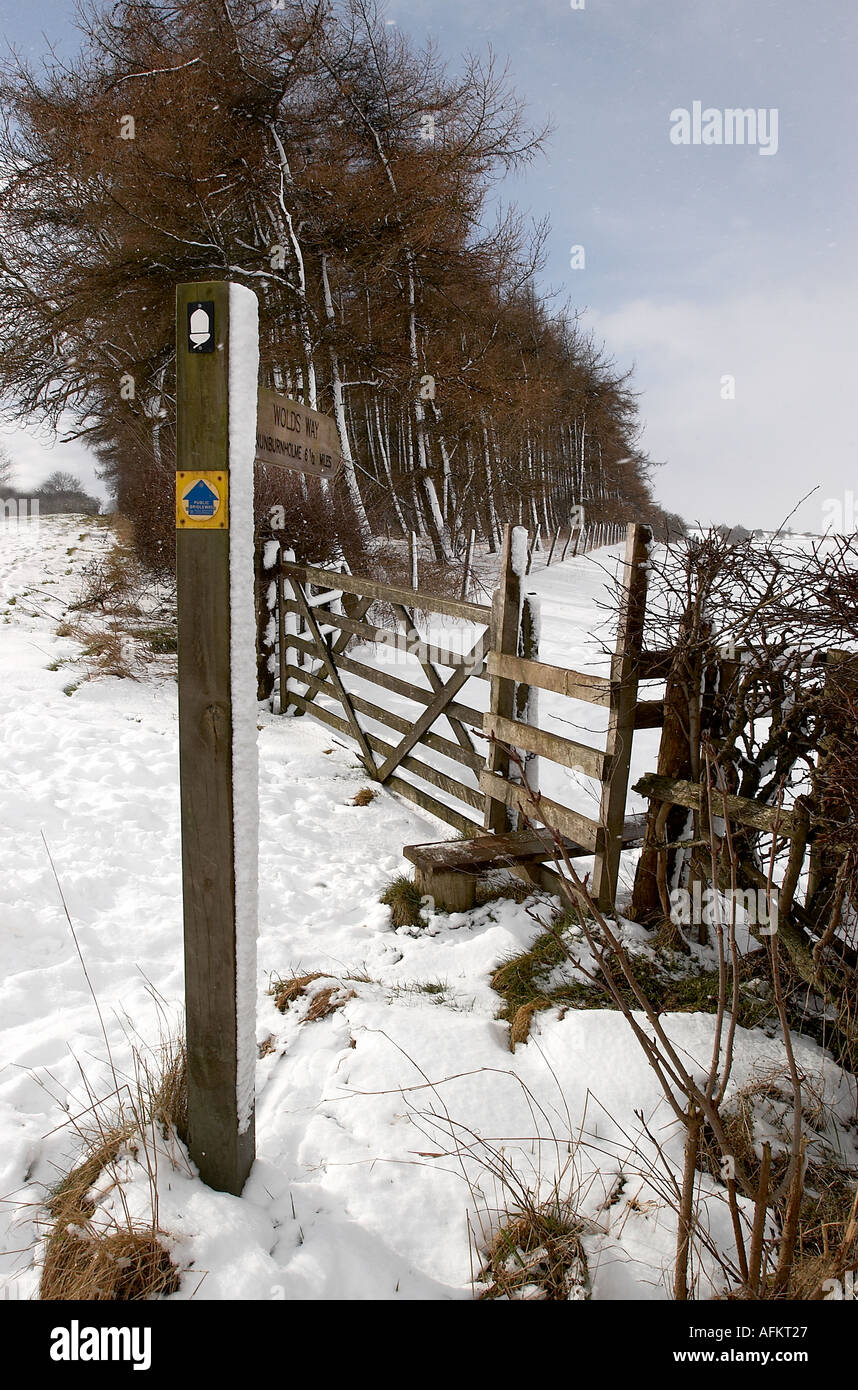 The Wolds Way Public footpath running through one of East Yorkshire s ...