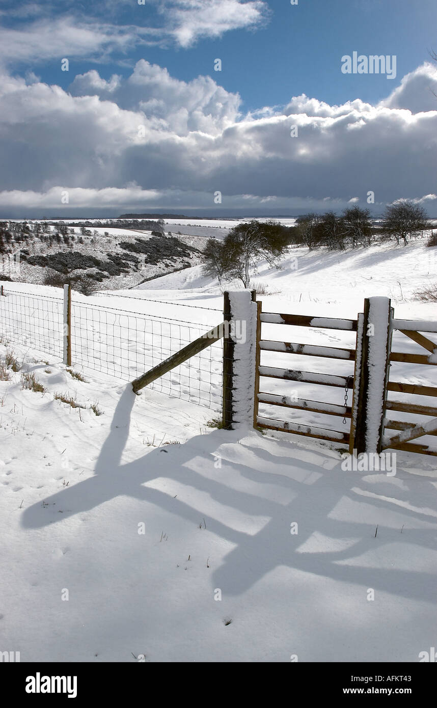 One of East Yorkshire s most popular walks The Minster Way carpeted in ...