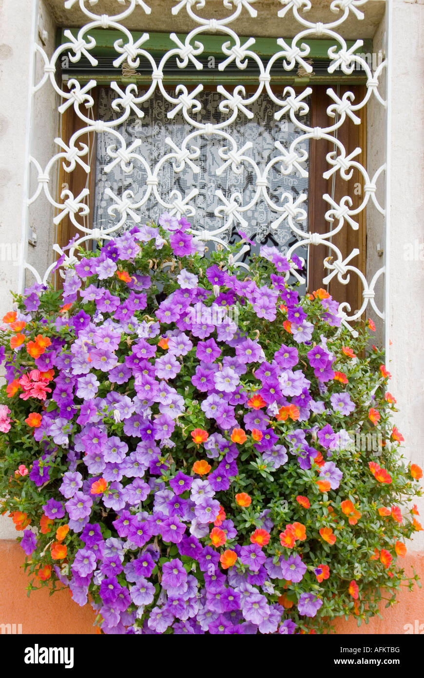 Colorful flower boxes Venice Italy Stock Photo - Alamy