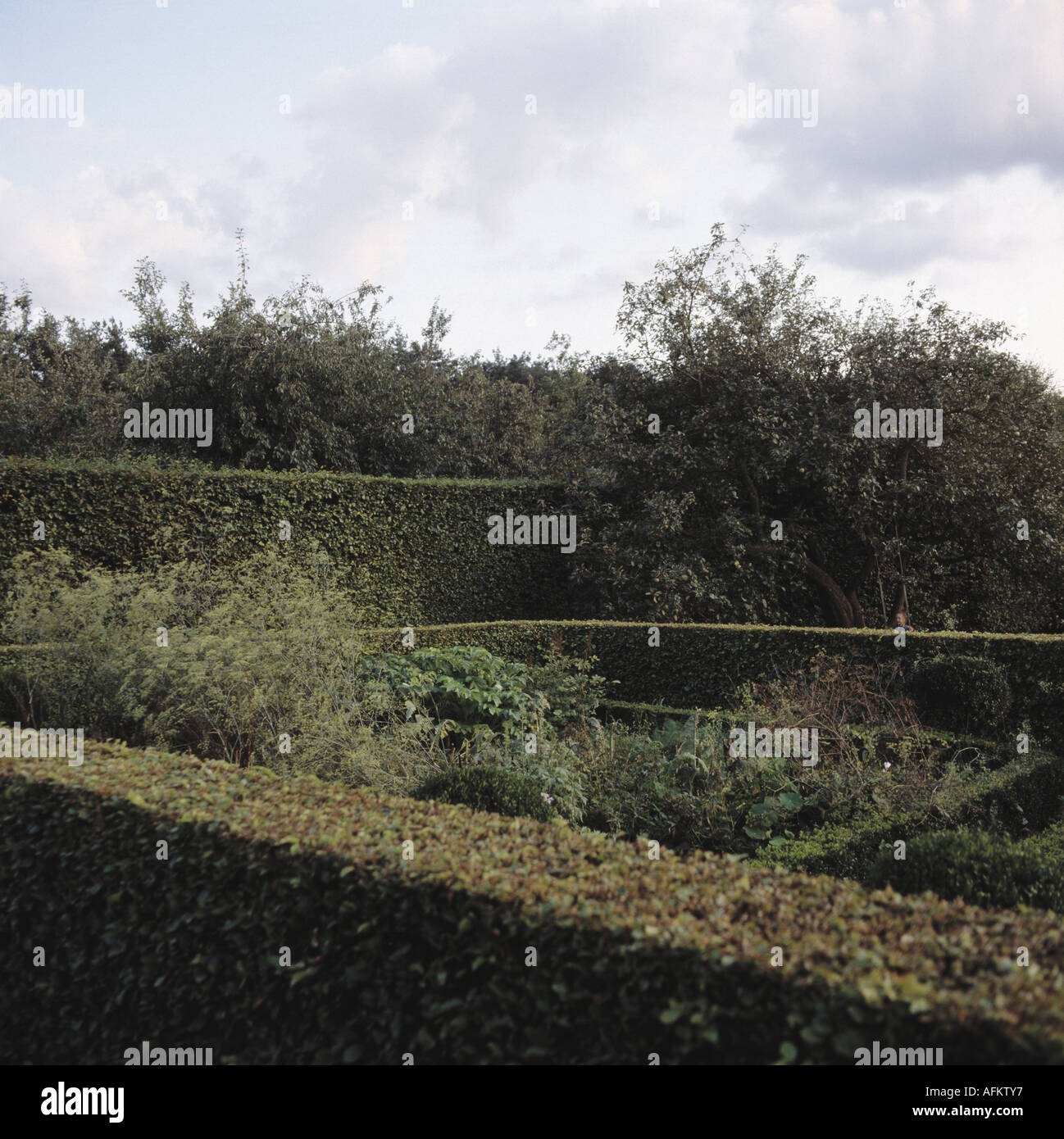 Large garden hedges hi-res stock photography and images - Alamy