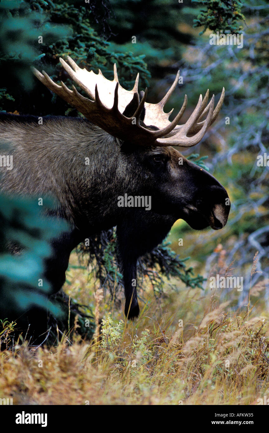 Ak 57 hi-res stock photography and images - Alamy