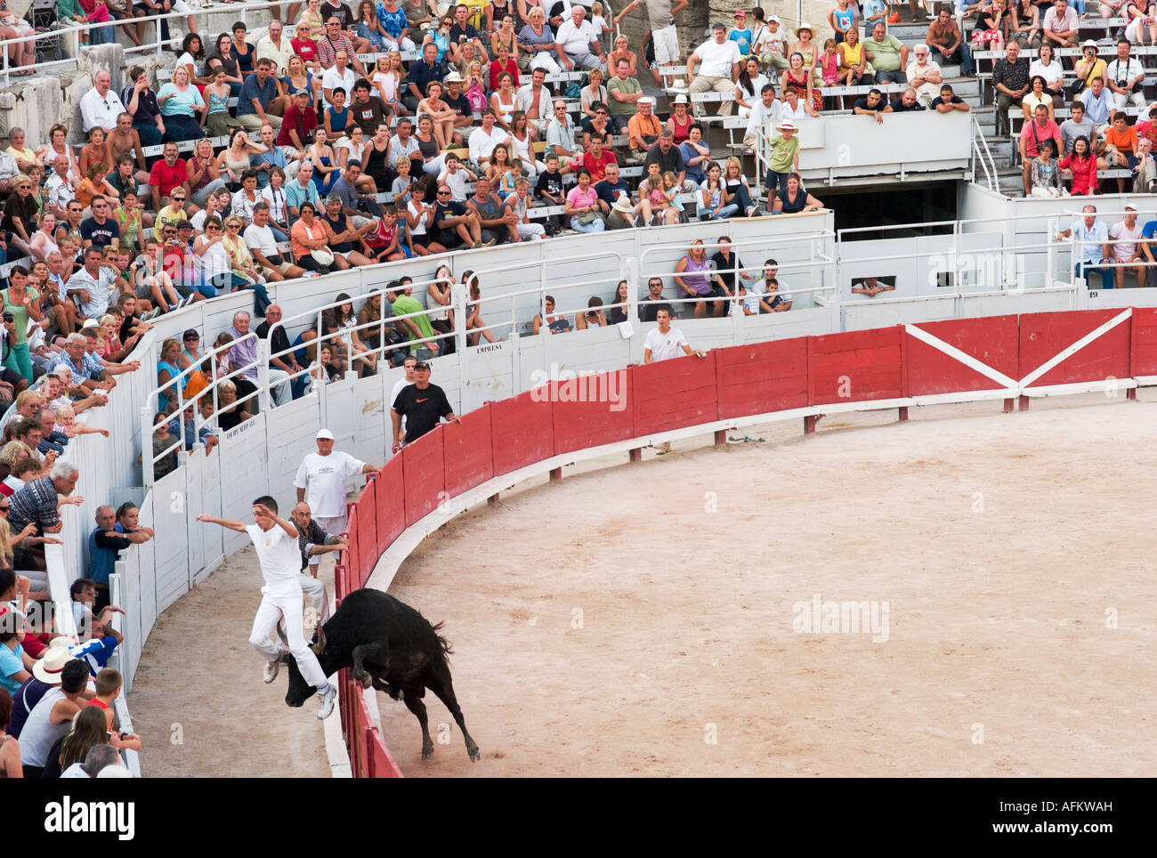 Chasing the bulls in the Roman Arena at Arles Stock Photo - Alamy