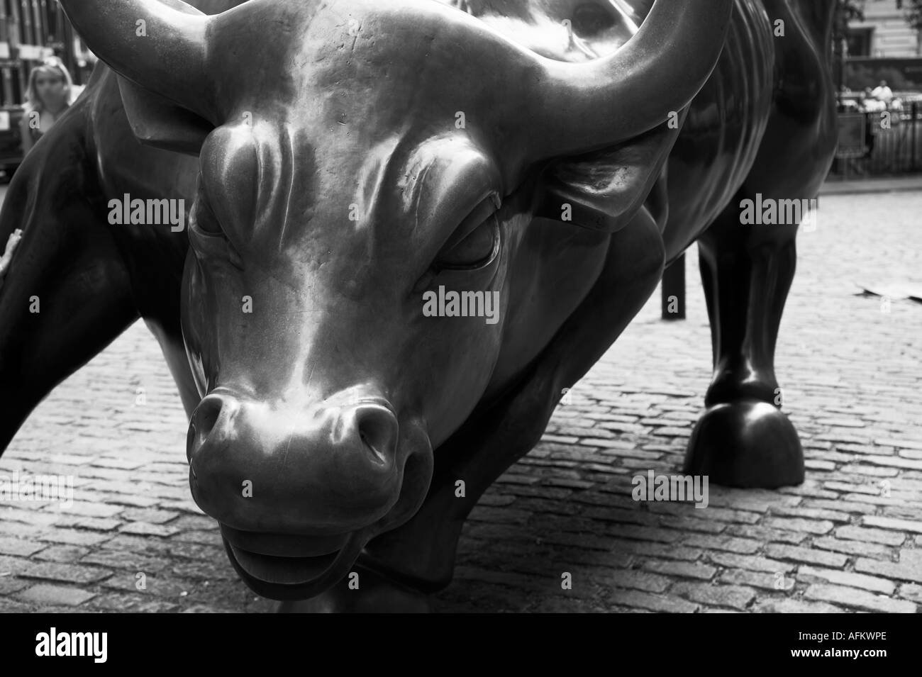 Bull on Lower Broadway New York City Stock Photo - Alamy