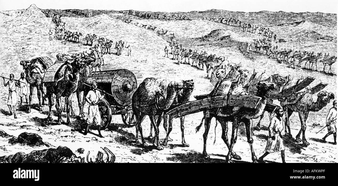 (camel or camels) in dessert Black and White Stock Photos & Images - Alamy