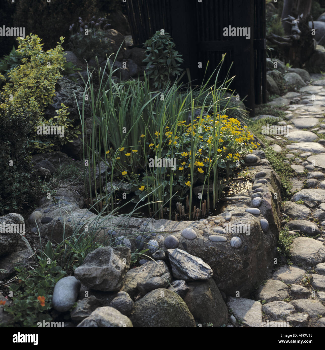 Raised ponds garden hi-res stock photography and images - Alamy