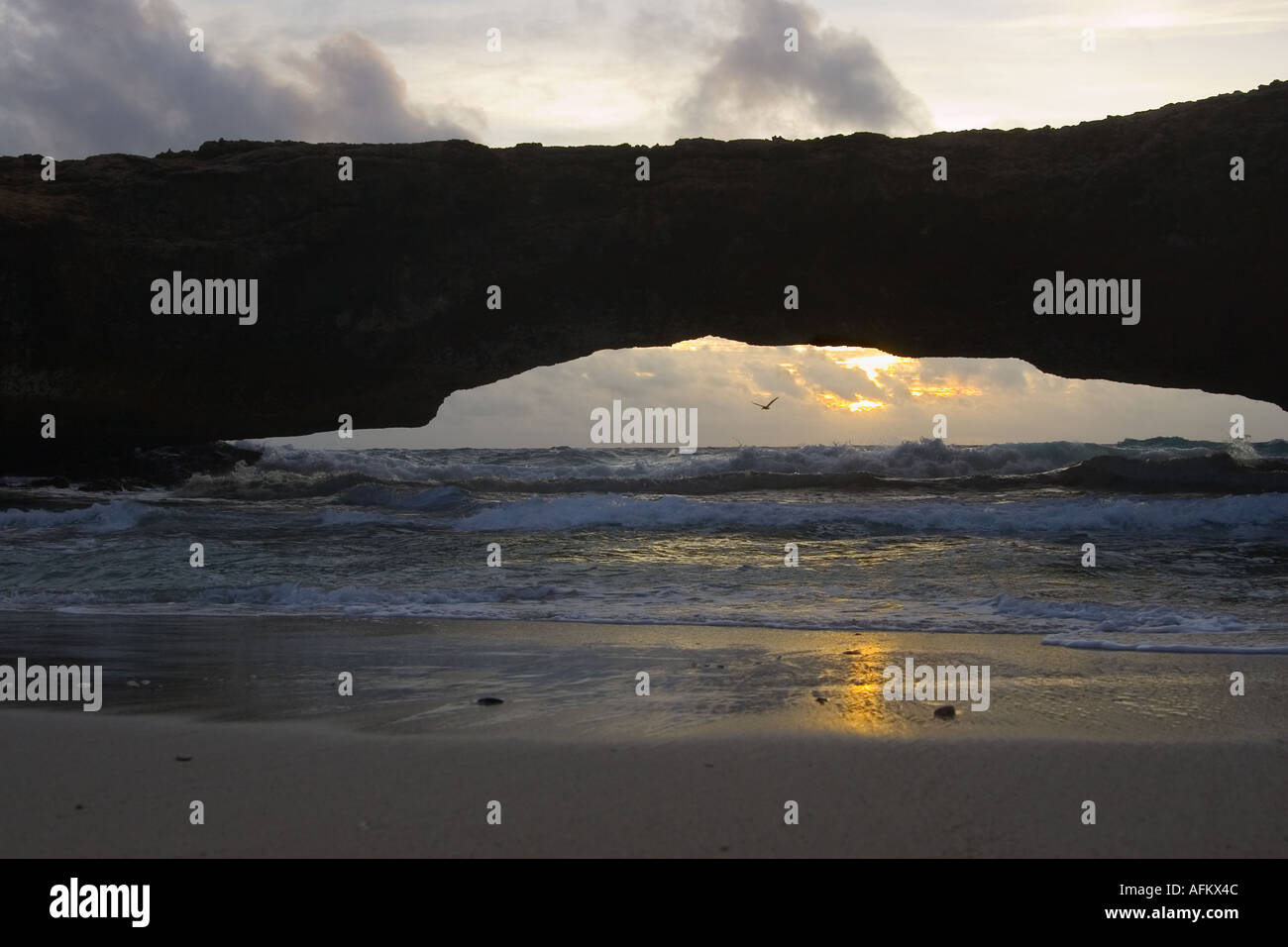 Aruba natural bridge at sunrise with pelican silhouette Stock Photo - Alamy