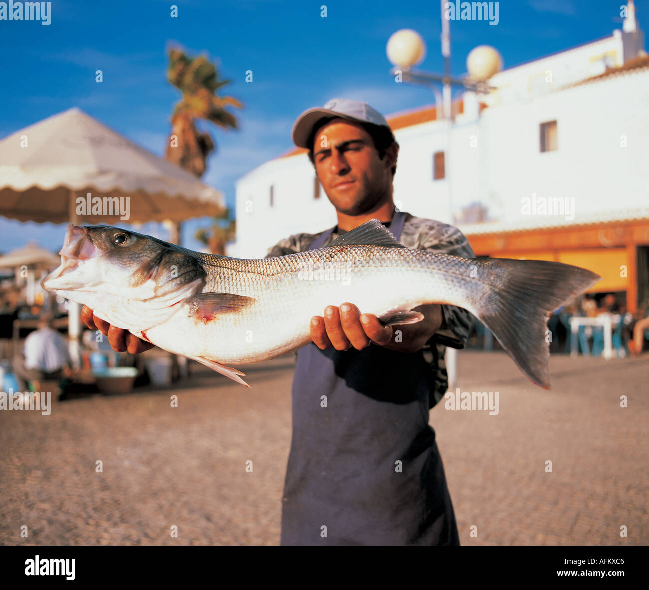 Fisherman holding big fresh fish in restaurant Ferragudo Algarve ...