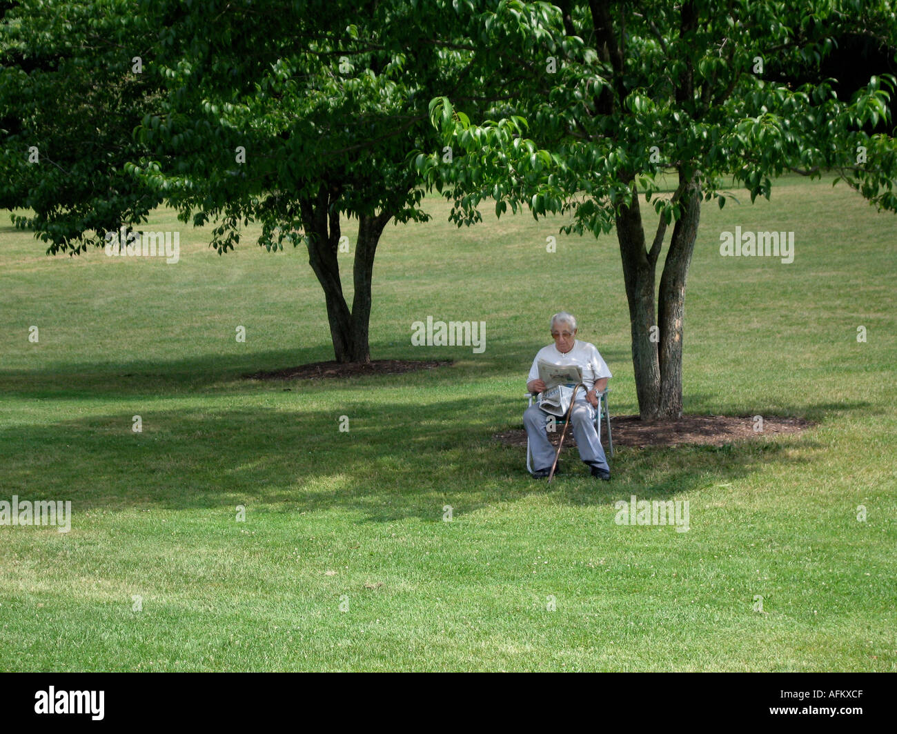 Man reading under shade tree hi-res stock photography and images - Alamy