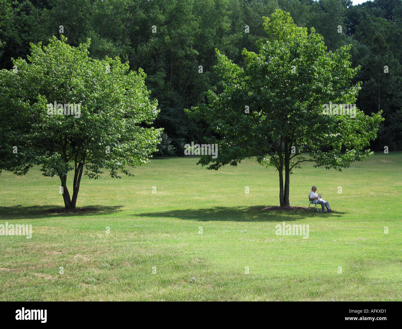 Man reading under shade tree hi-res stock photography and images - Alamy