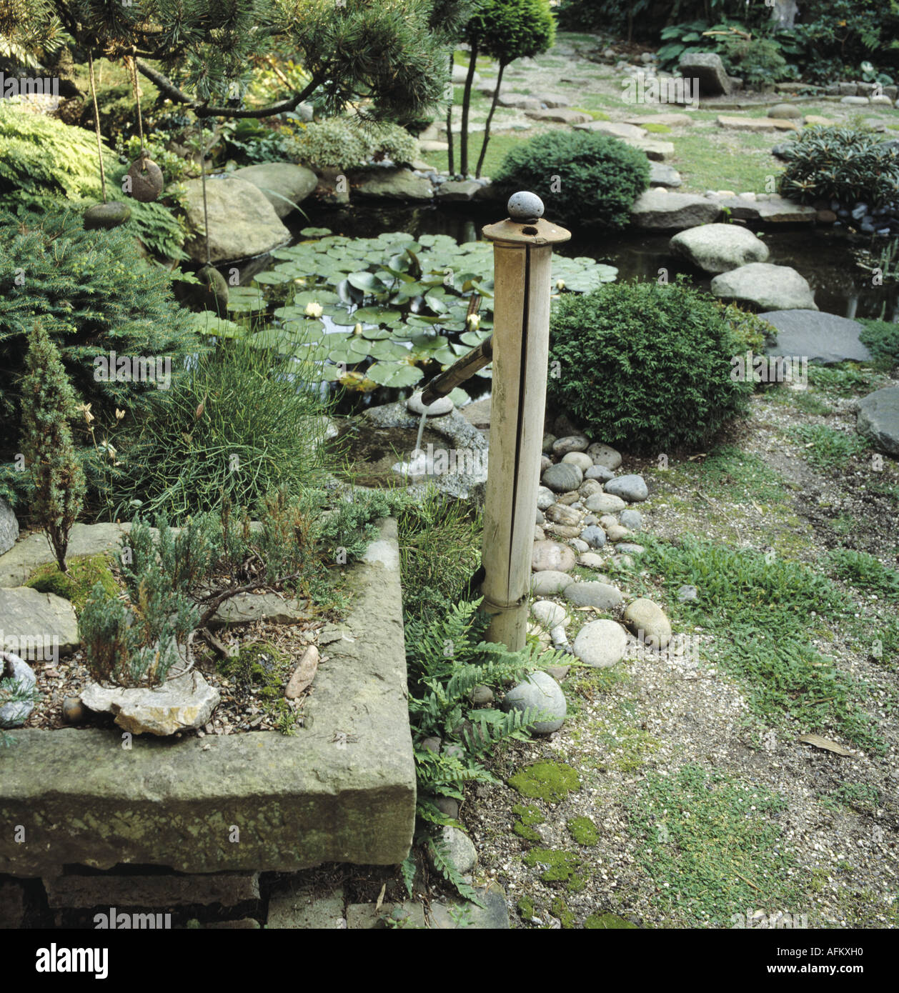 Landscaping With Bamboo Pools