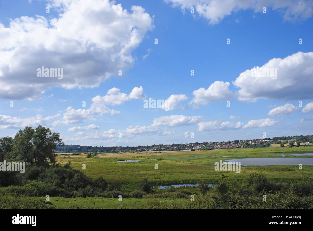 Pulborough Brooks Nature Reserve West Sussex Stock Photo - Alamy