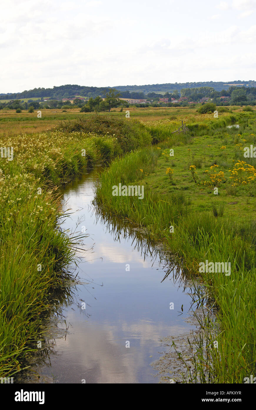 Pulborough Brooks Nature Reserve West Sussex Stock Photo - Alamy