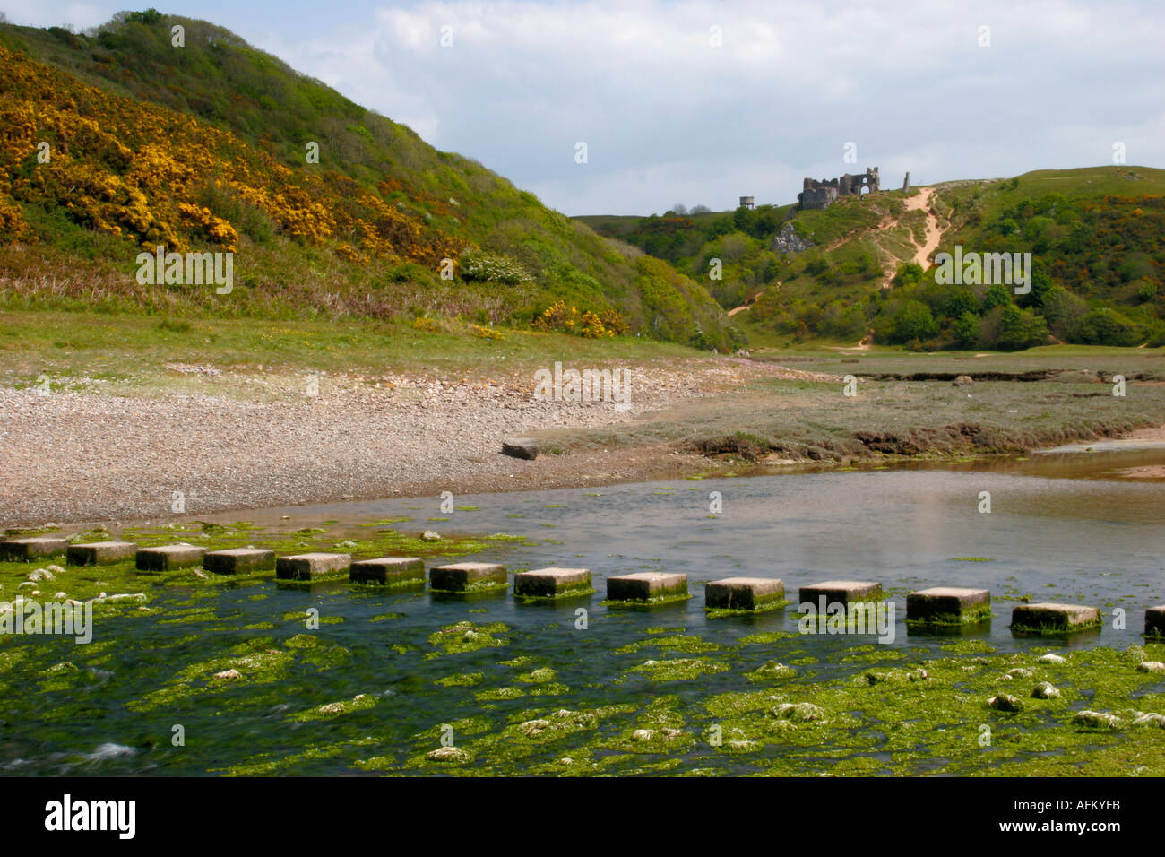 STEPPING STONES OVER PENNARD PILL WITH PENNARD CASTLE IN BACKGROUND ...