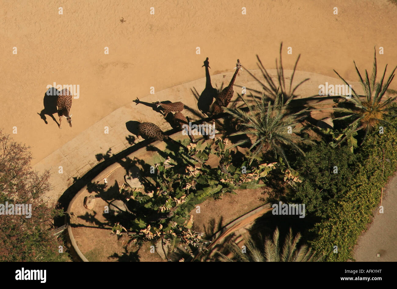 Aerial los angeles zoo hi-res stock photography and images - Alamy