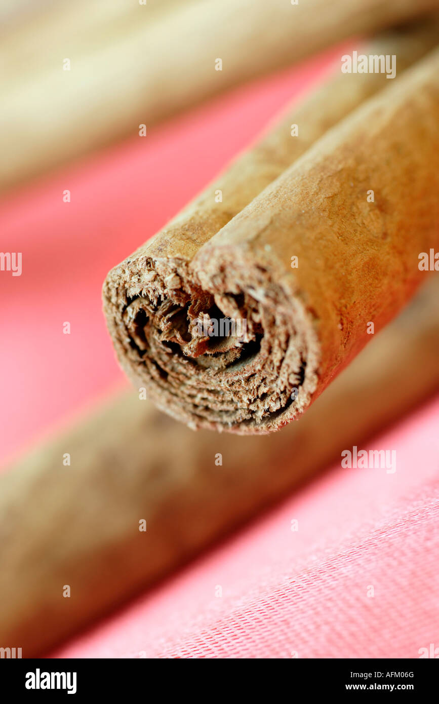dried cinnamon sticks ready to add their delicious flavor to your ...