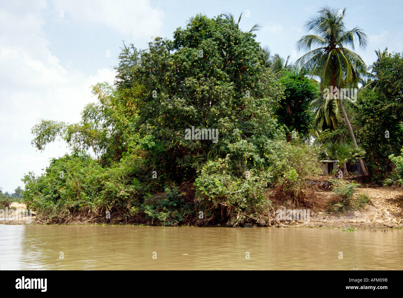 Angkor borei canal hi-res stock photography and images - Alamy