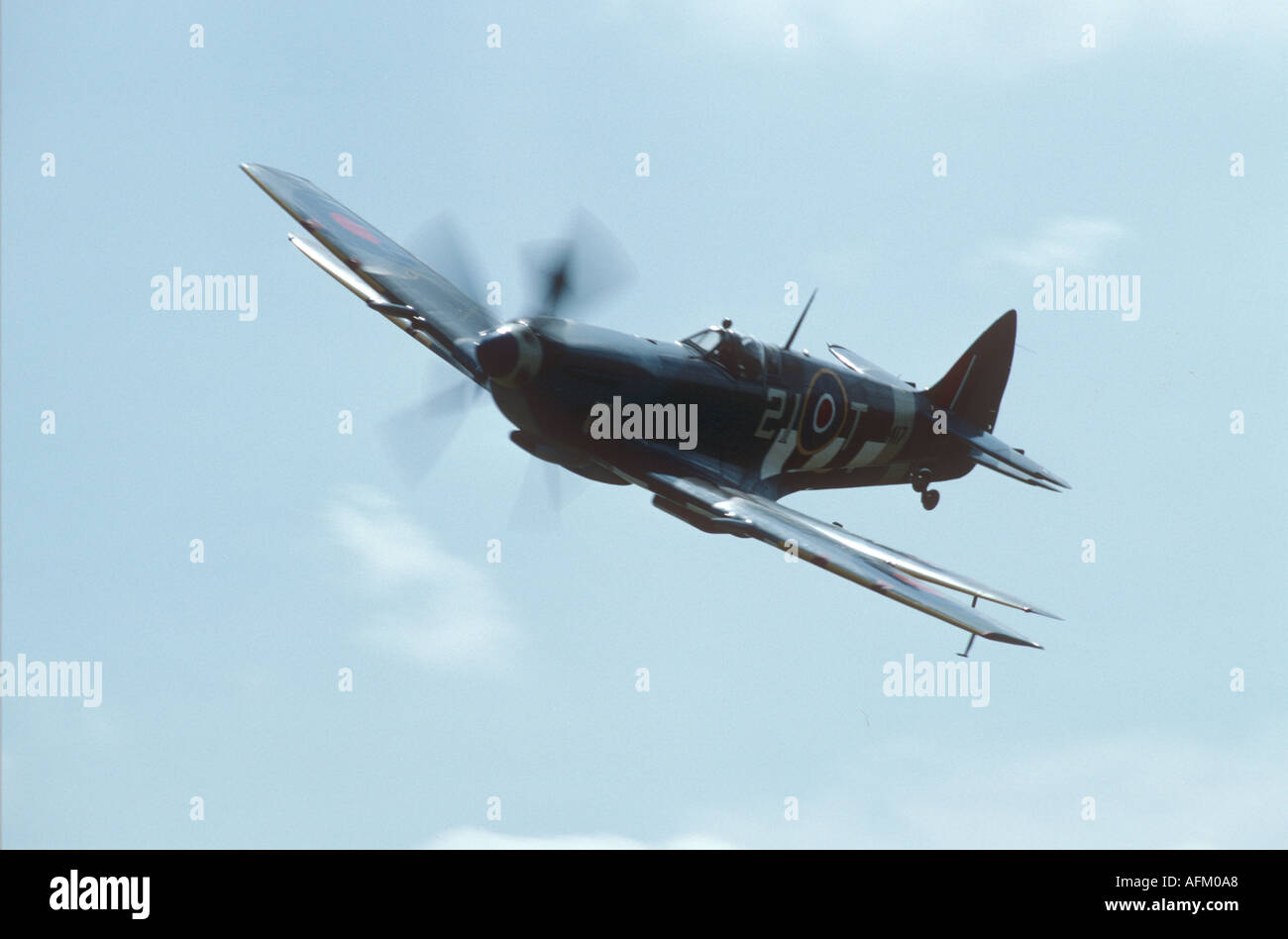 A clipped wing Supermarine Spitfire LF IX E of 443 Squadron Royal ...