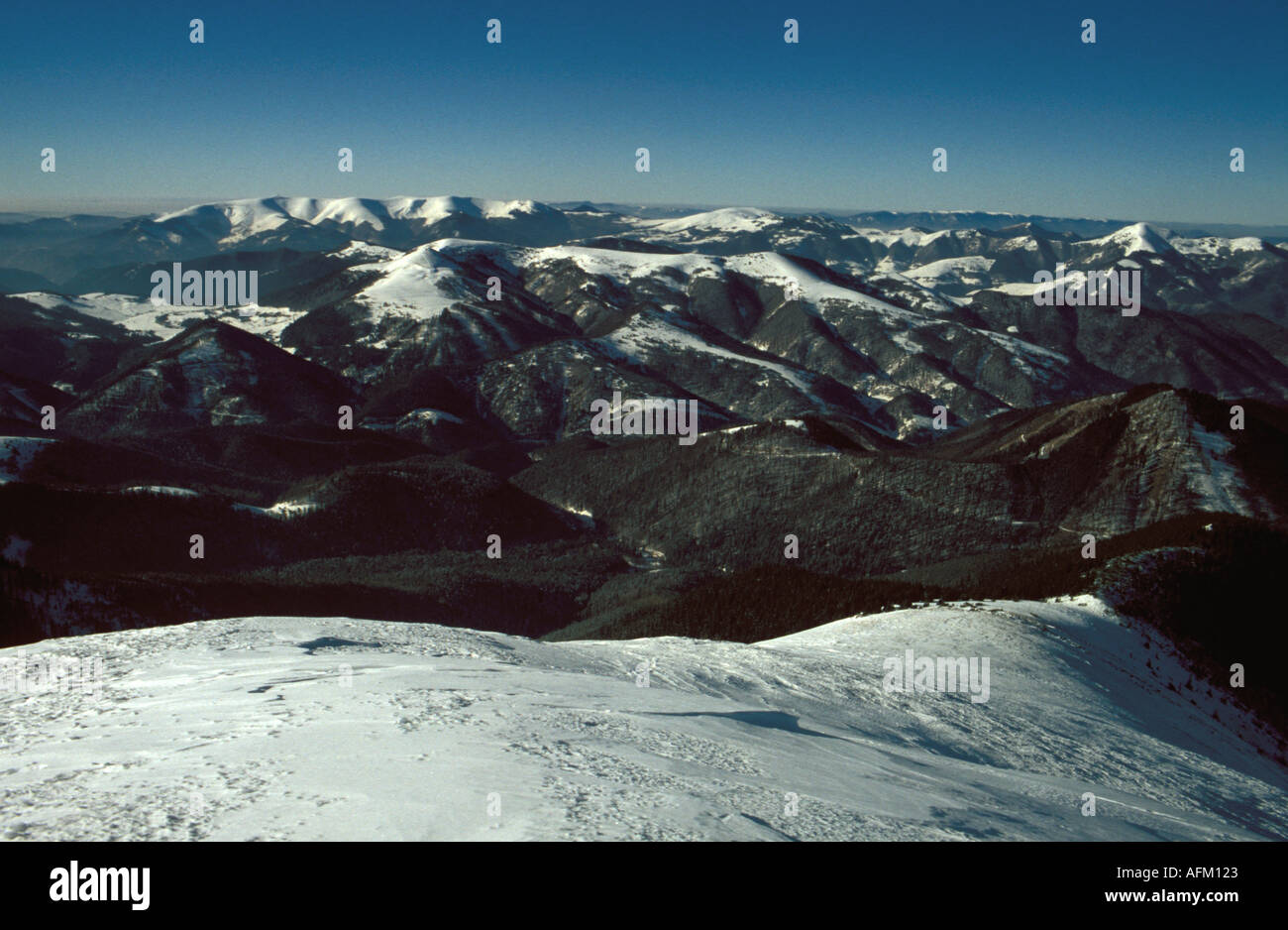 Nova hola hi-res stock photography and images - Alamy