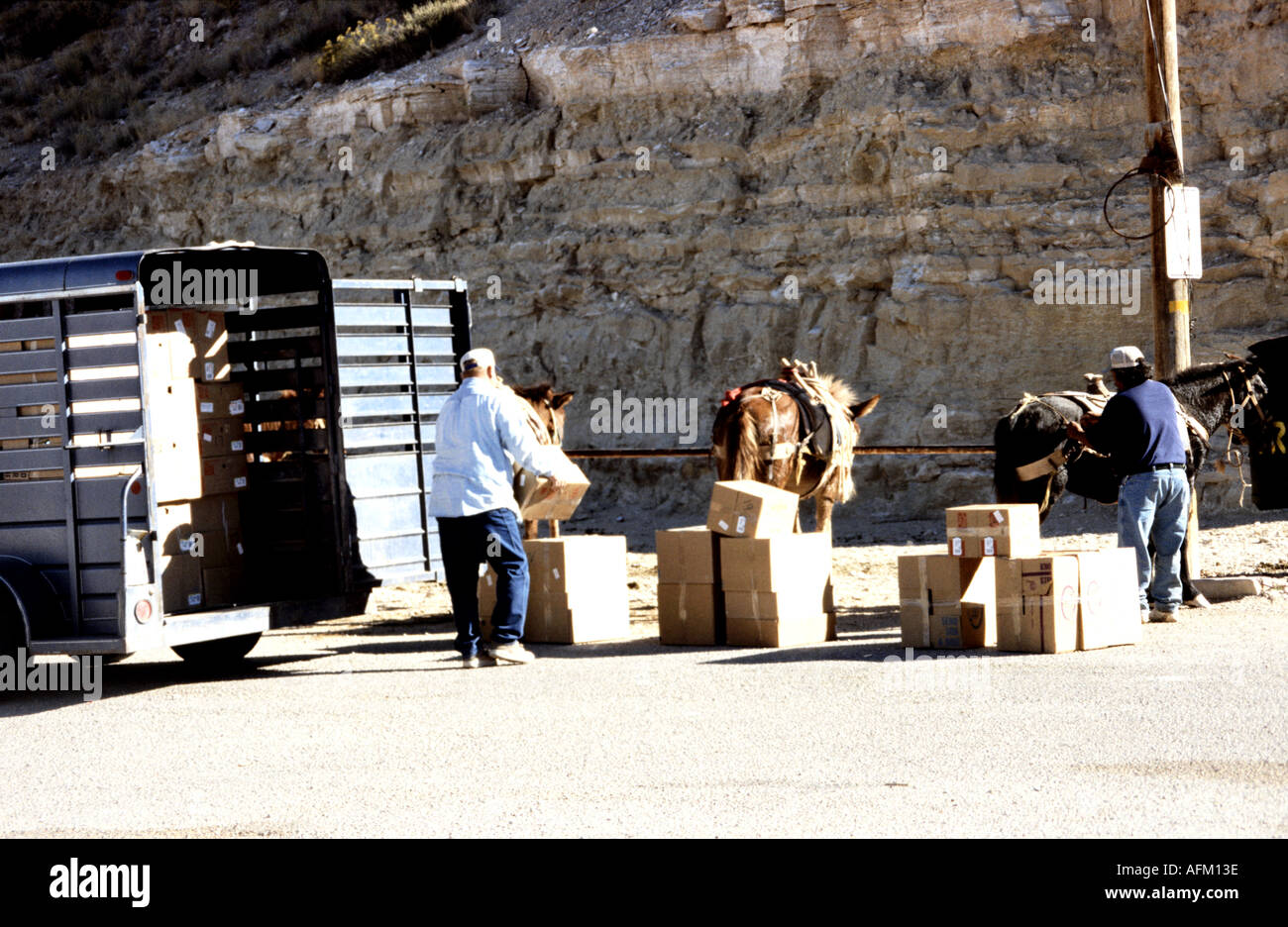 A mule train horse ready for the eight mile trek down to the Havasupai ...
