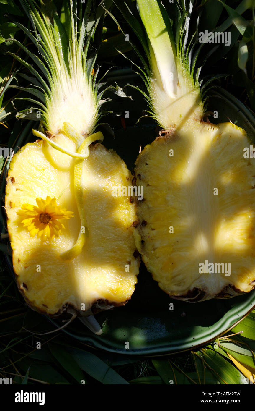 Split pineapple hi-res stock photography and images - Alamy