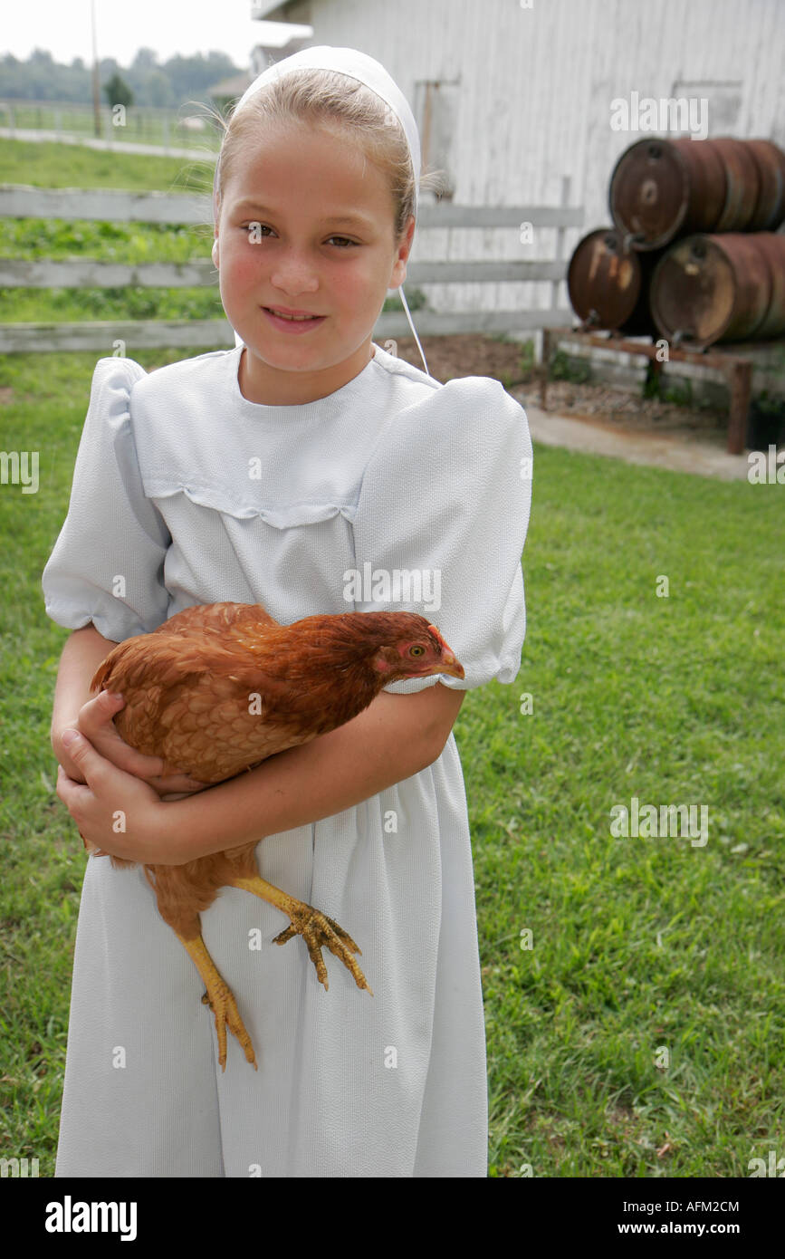 Indiana shipshewana amish working farm tour hi-res stock photography ... Indiana shipshewana amish working farm tour hi-res stock photography ...