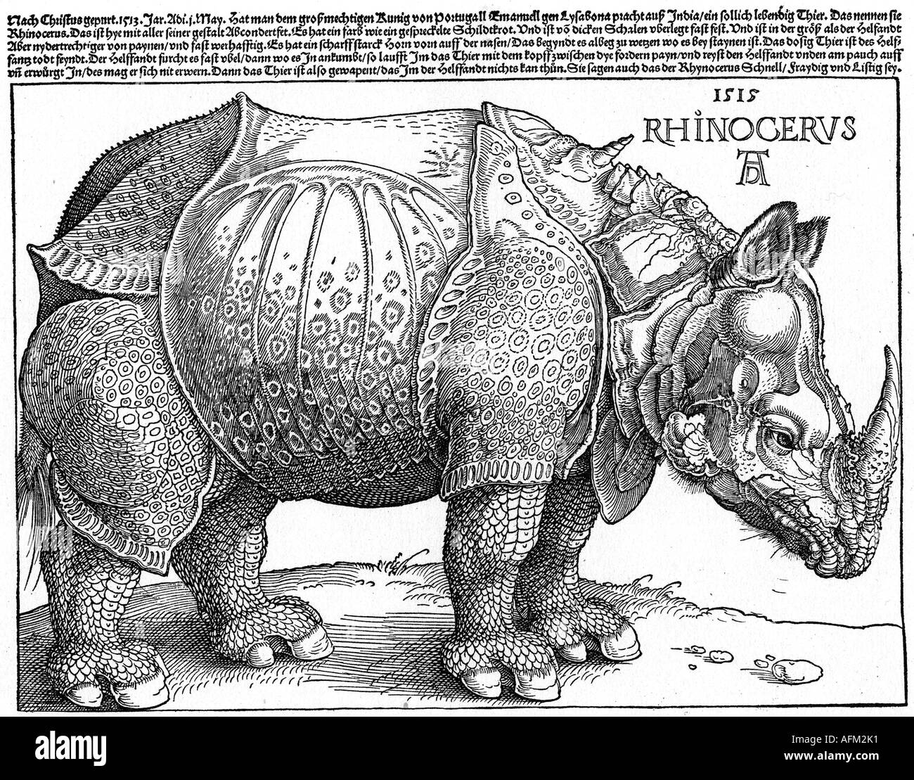 Woodcut by albrecht durer hi-res stock photography and images - Alamy