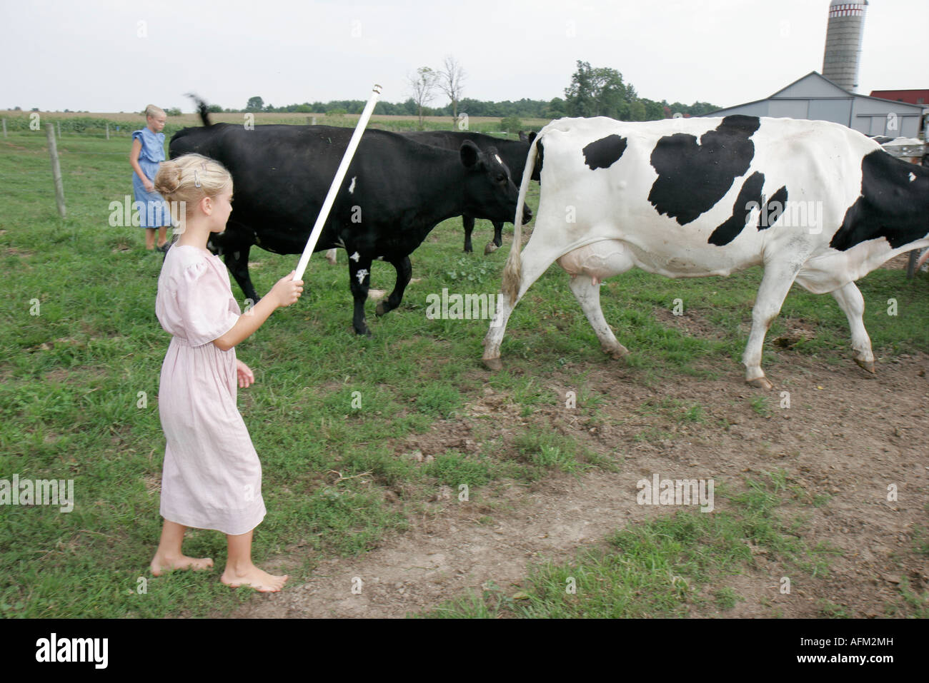 Indiana shipshewana amish farm tour hi-res stock photography and images ...