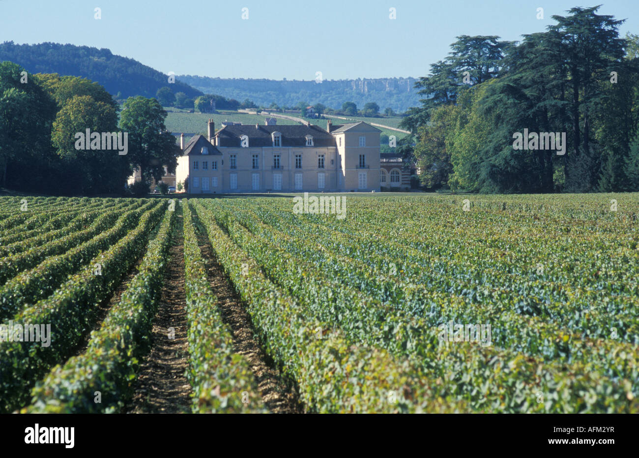 Vineyard chateau de mersault in hi-res stock photography and images - Alamy