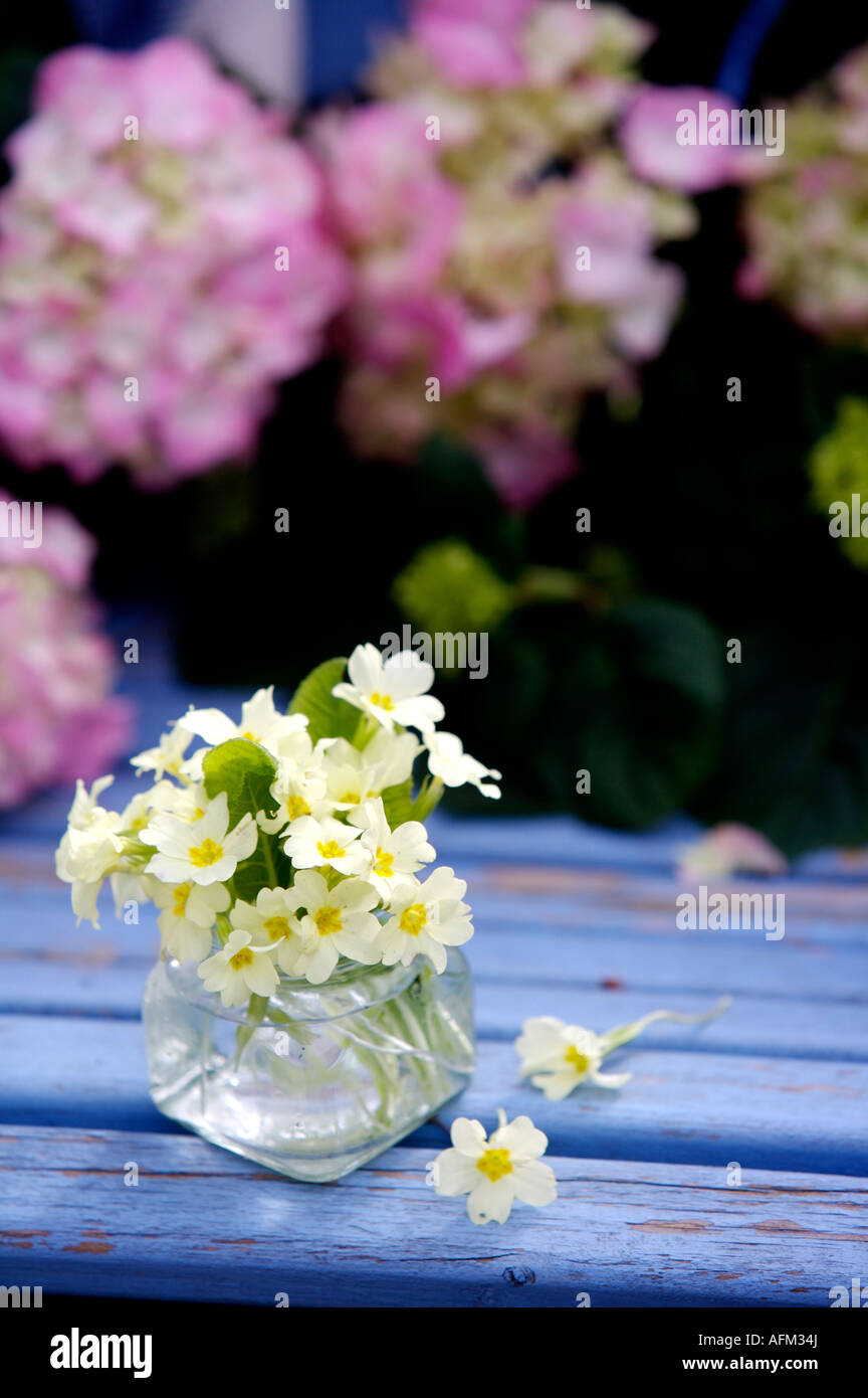 Small posies spring flowers table hi-res stock photography and images ...