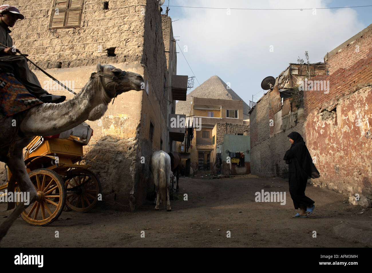 Sitting in the shadow of the Pyramids, the suburb of Giza, Cairo, Egypt ...