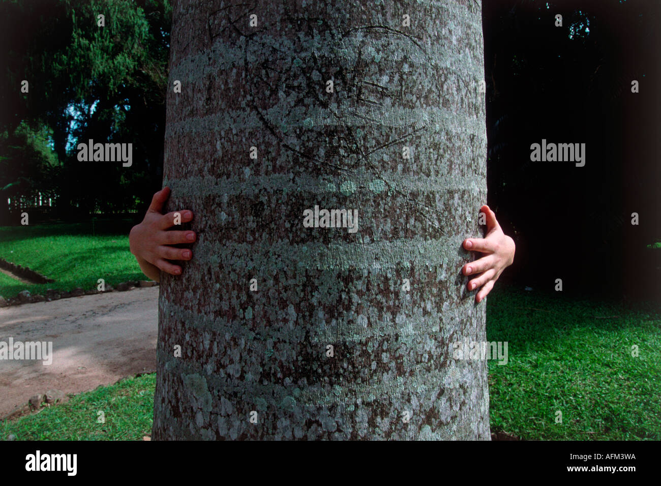 Hands hugging tree trunk hi-res stock photography and images - Alamy