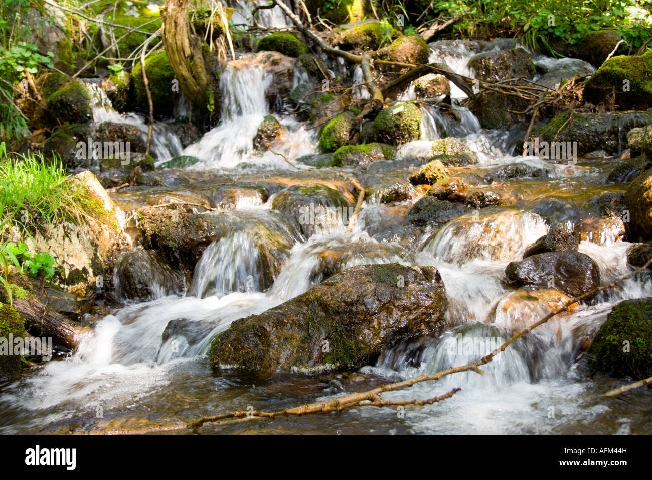 mountain stream running over mossy rocks in siberia foothills of Sayan ...