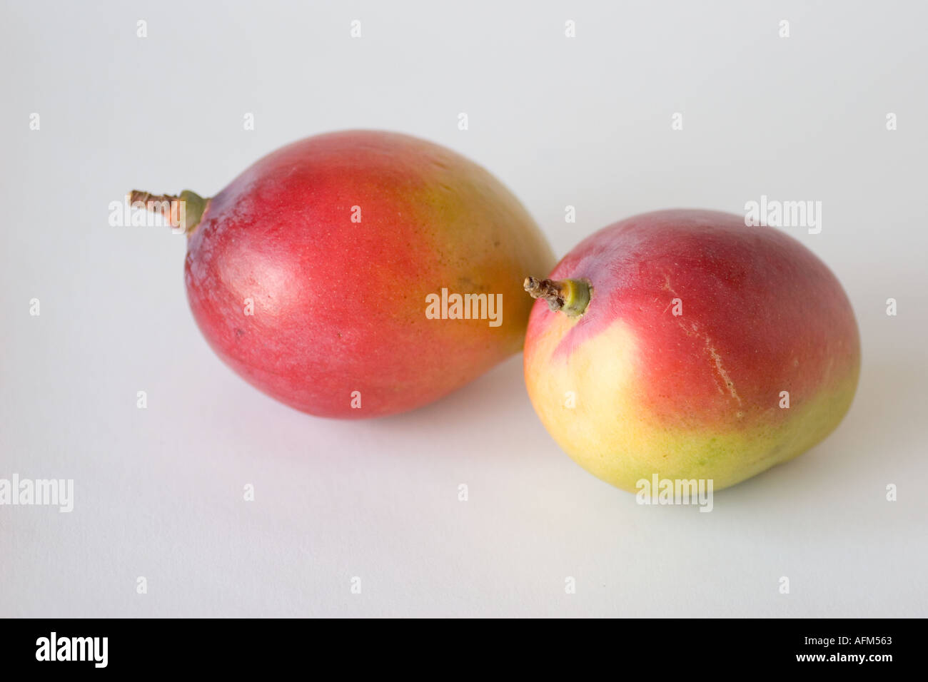 Mangos dinner hi-res stock photography and images - Alamy