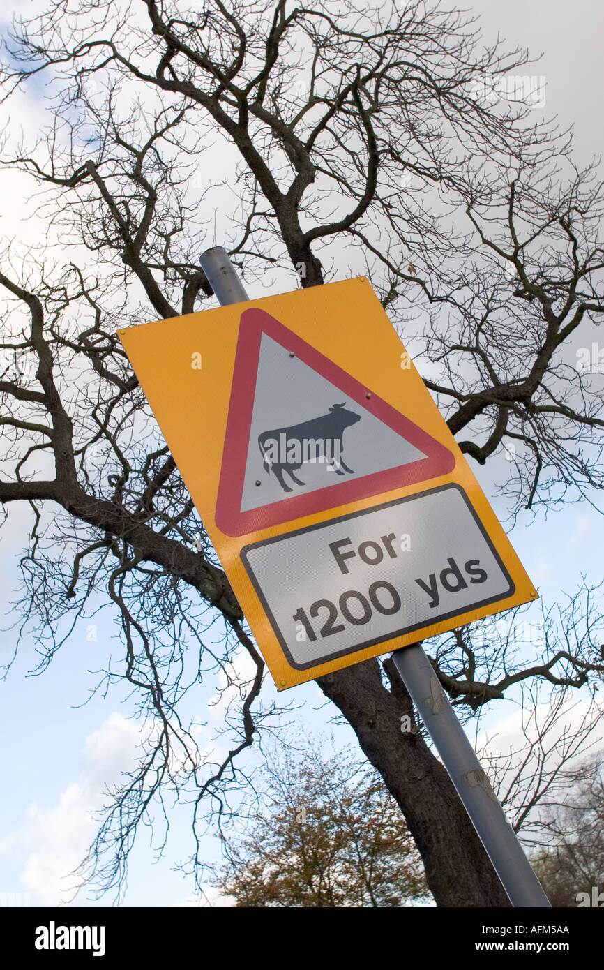 1200 yards hi-res stock photography and images - Alamy